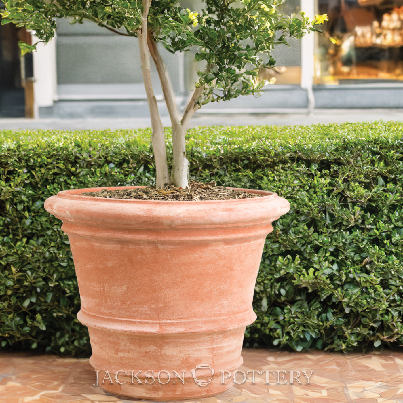 Jackson Pottery | HI-12-I Tuscan Roll Rim, 37.5 in.