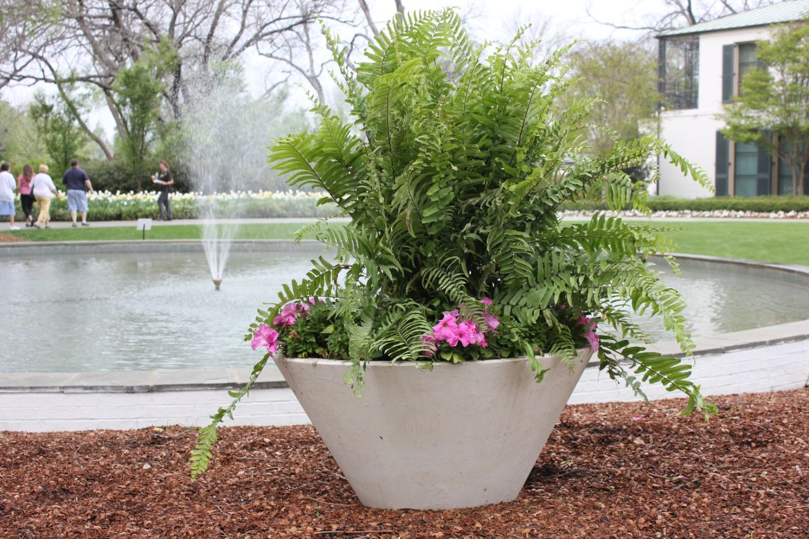 Jackson Pottery | 21.5 in. Strobile Planter